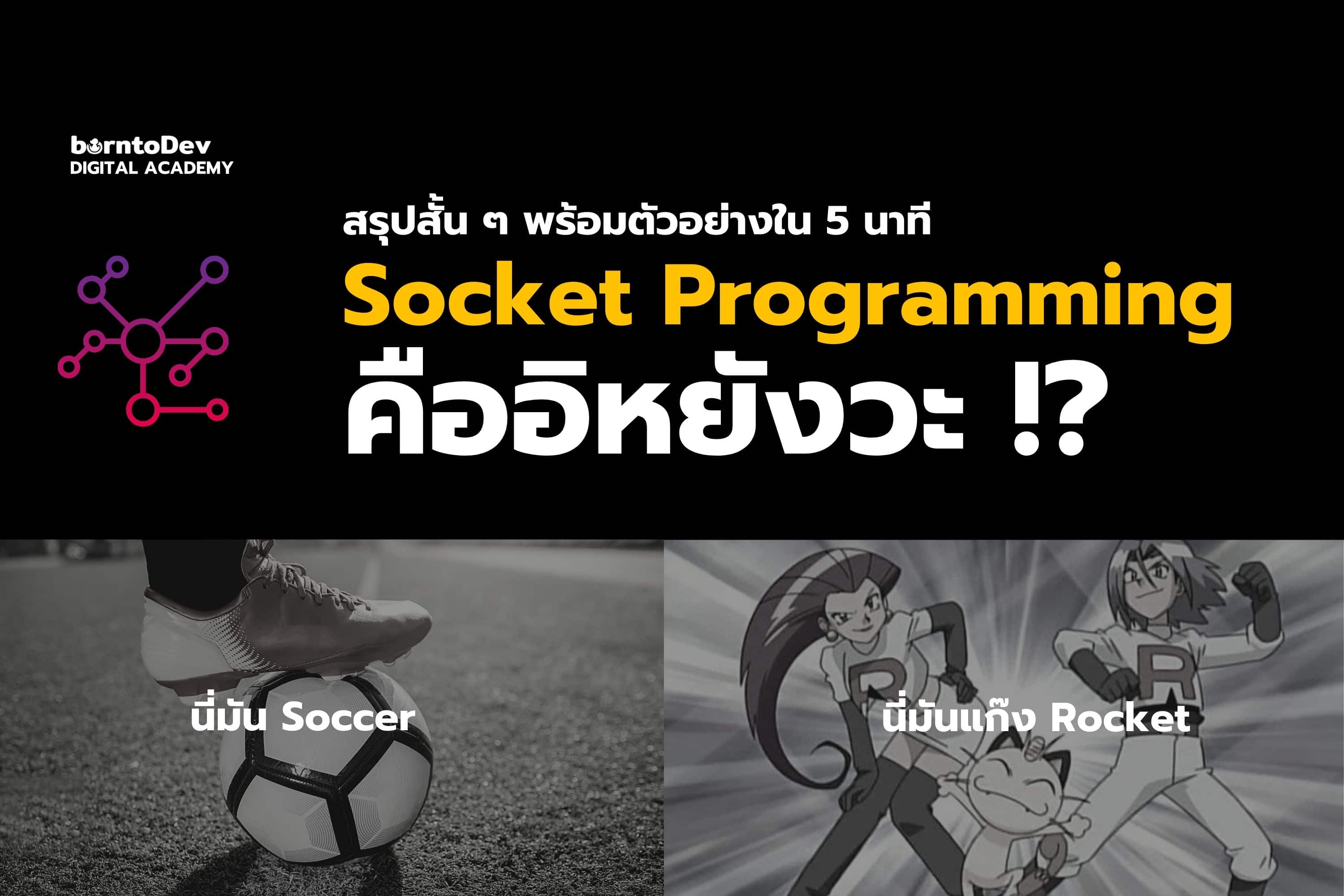 Socket Programming คืออะไรหว่า ? – BorntoDev เริ่มต้นเรียน เขียนโปรแกรม ...
