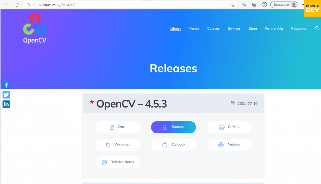 ตรวจจับใบหน้าน้องเหมียวด้วย OpenCV – BorntoDev เริ่มต้นเรียน เขียน ...