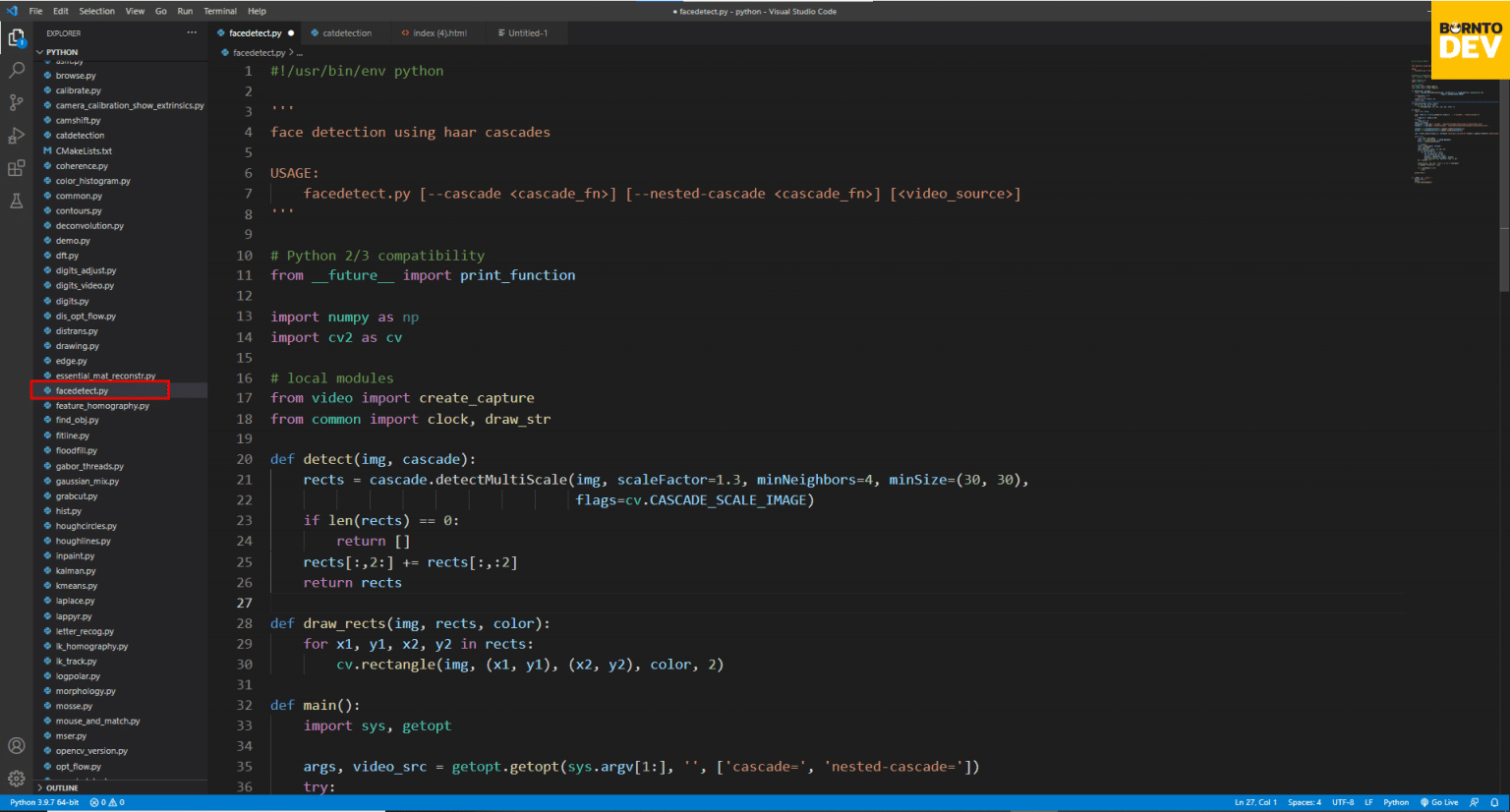 ตรวจจับใบหน้าน้องเหมียวด้วย OpenCV – BorntoDev เริ่มต้นเรียน เขียนโปรแกรม ขั้นเทพ