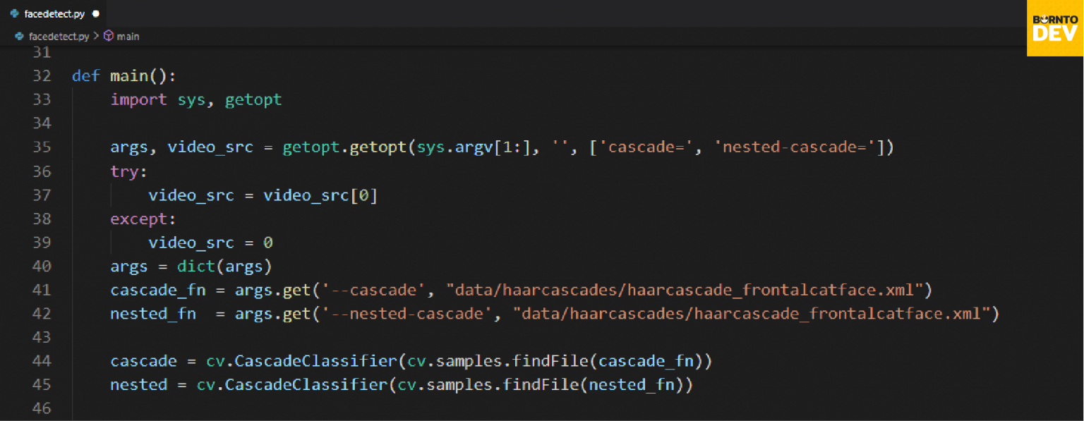 ตรวจจับใบหน้าน้องเหมียวด้วย OpenCV – BorntoDev เริ่มต้นเรียน เขียนโปรแกรม ขั้นเทพ