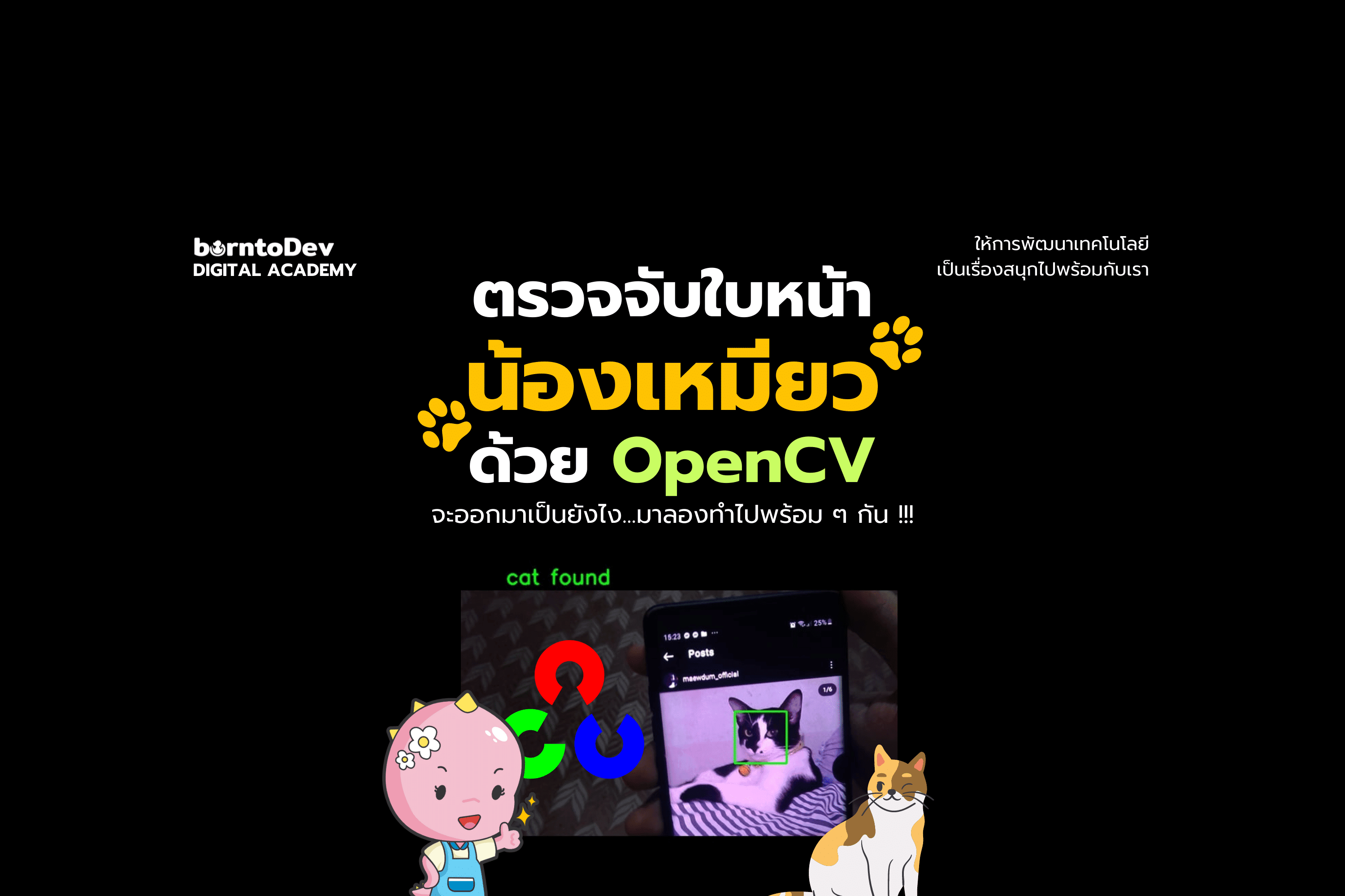 ตรวจจับใบหน้าน้องเหมียวด้วย OpenCV – BorntoDev เริ่มต้นเรียน เขียน ...