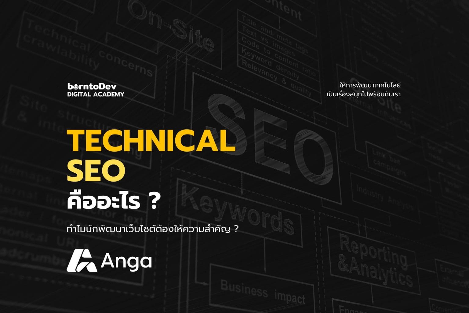 บทความสาระการเขียนโปรแกรม | BorntoDev เริ่มต้นเรียน เขียนโปรแกรม ขั้นเทพ