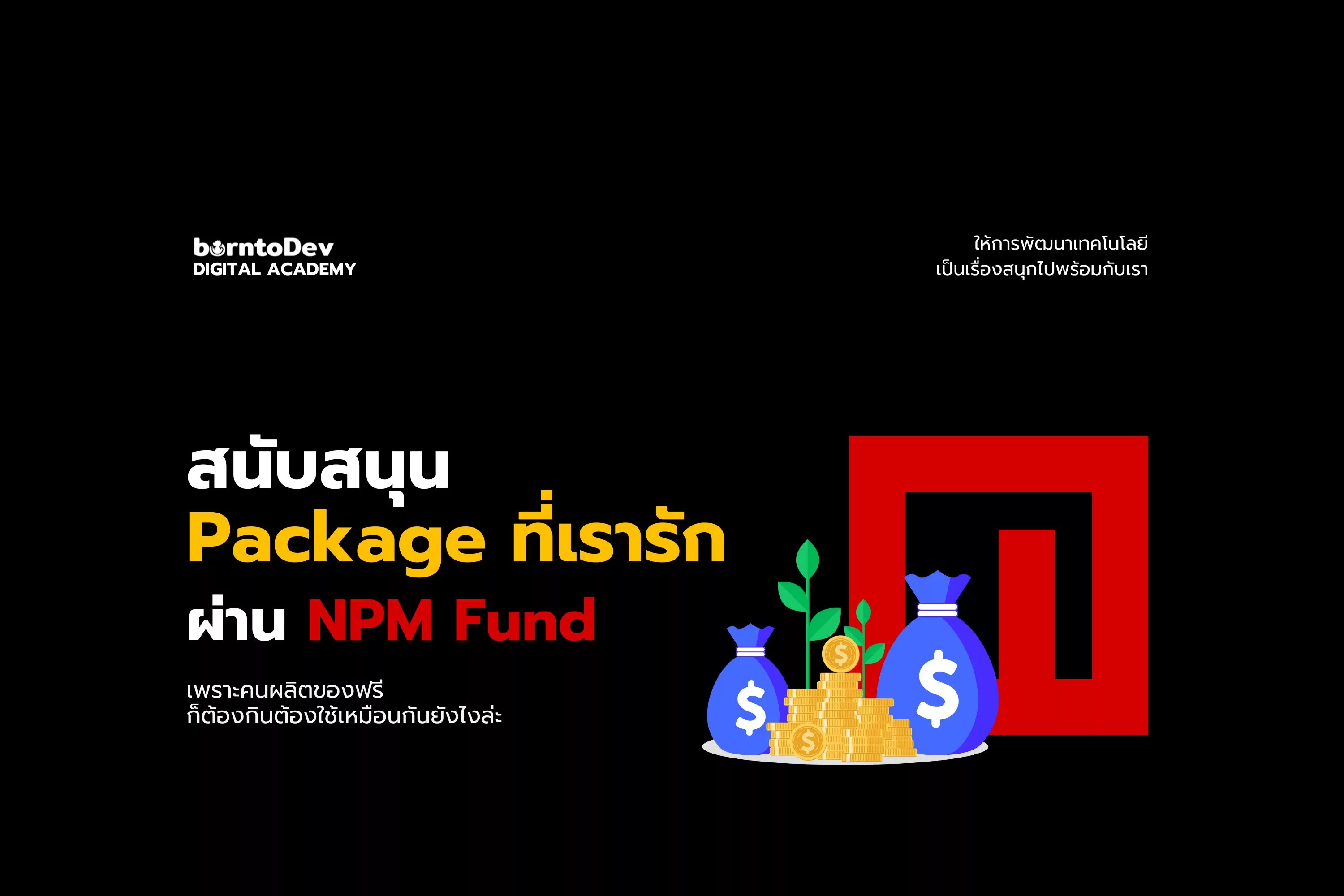 สนับสนุน Package ที่เรารักผ่าน NPM Fund – BorntoDev เริ่มต้นเรียน เขียนโปรแกรม ขั้นเทพ