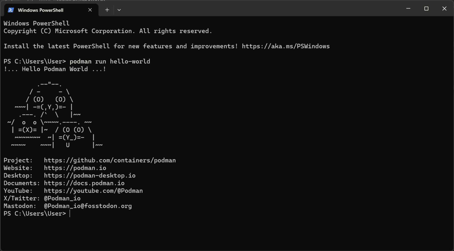 เปรียบเทียบการใช้งาน Docker และ Podman แบบหมัดต่อหมัด – BorntoDev ...