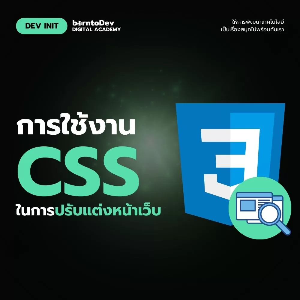 การใช้งาน CSS ในการปรับแต่งหน้าเว็บ – BorntoDev เริ่มต้นเรียน เขียนโปรแกรม ขั้นเทพ