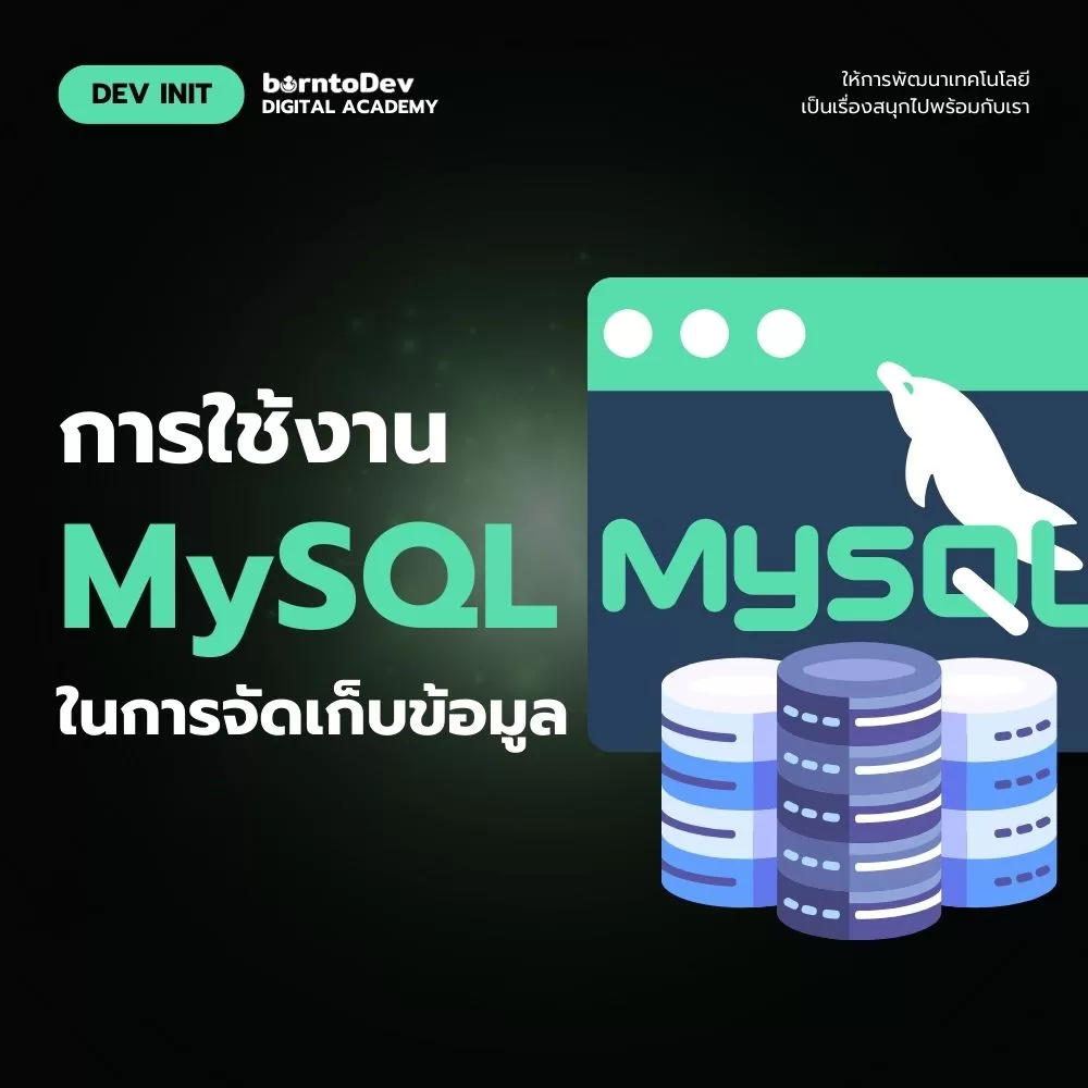 การใช้งาน MySQL ในการจัดเก็บข้อมูล – BorntoDev เริ่มต้นเรียน เขียนโปรแกรม ขั้นเทพ