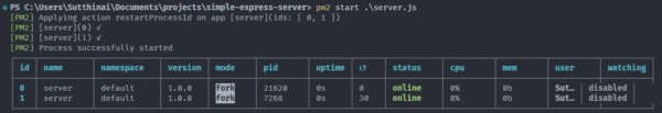 Deploy ไวแบบติดจรวดด้วย PM2 – BorntoDev เริ่มต้นเรียน เขียนโปรแกรม ขั้นเทพ